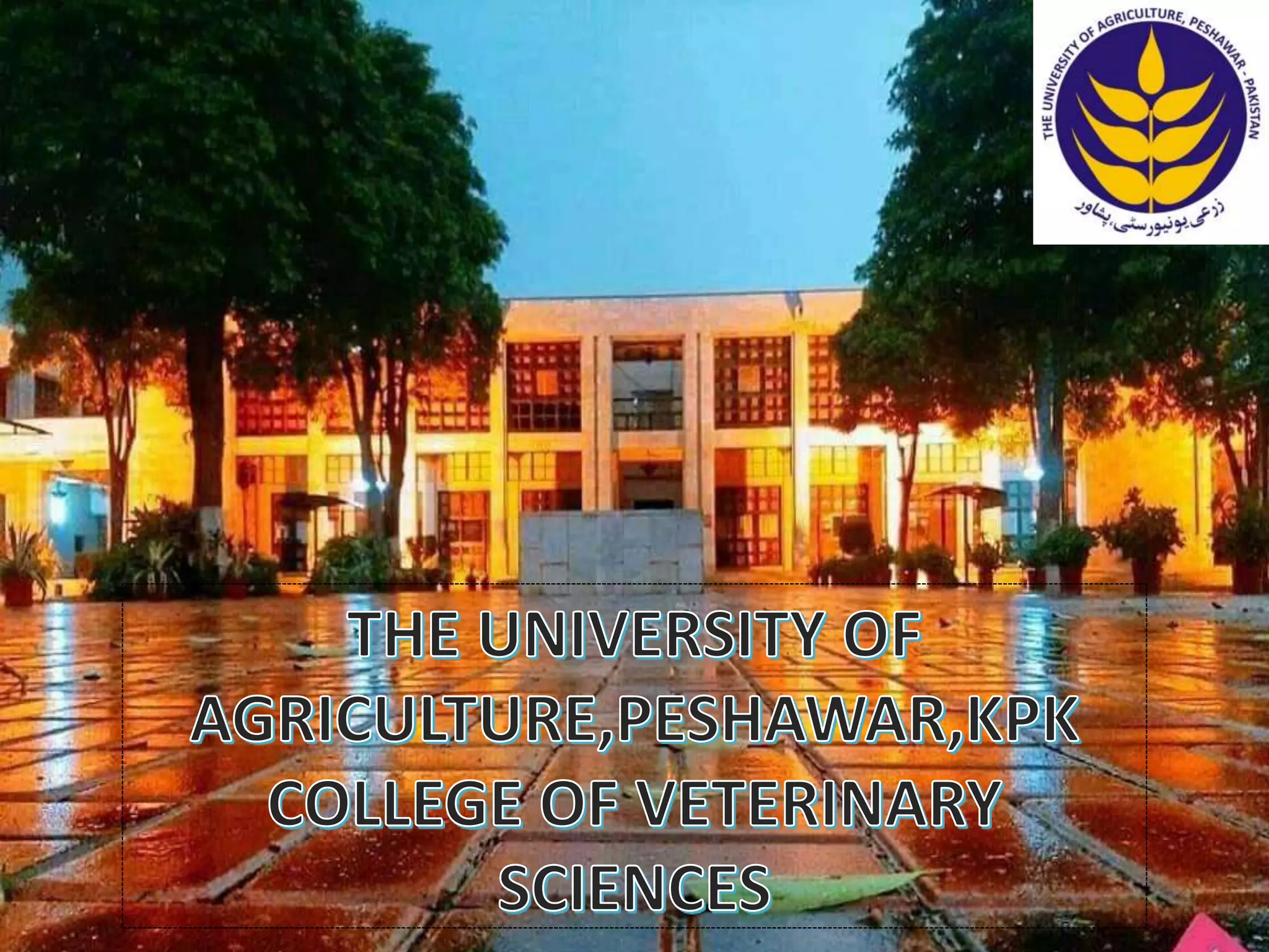 Pre-anesthetic agent used in animals | PPTX