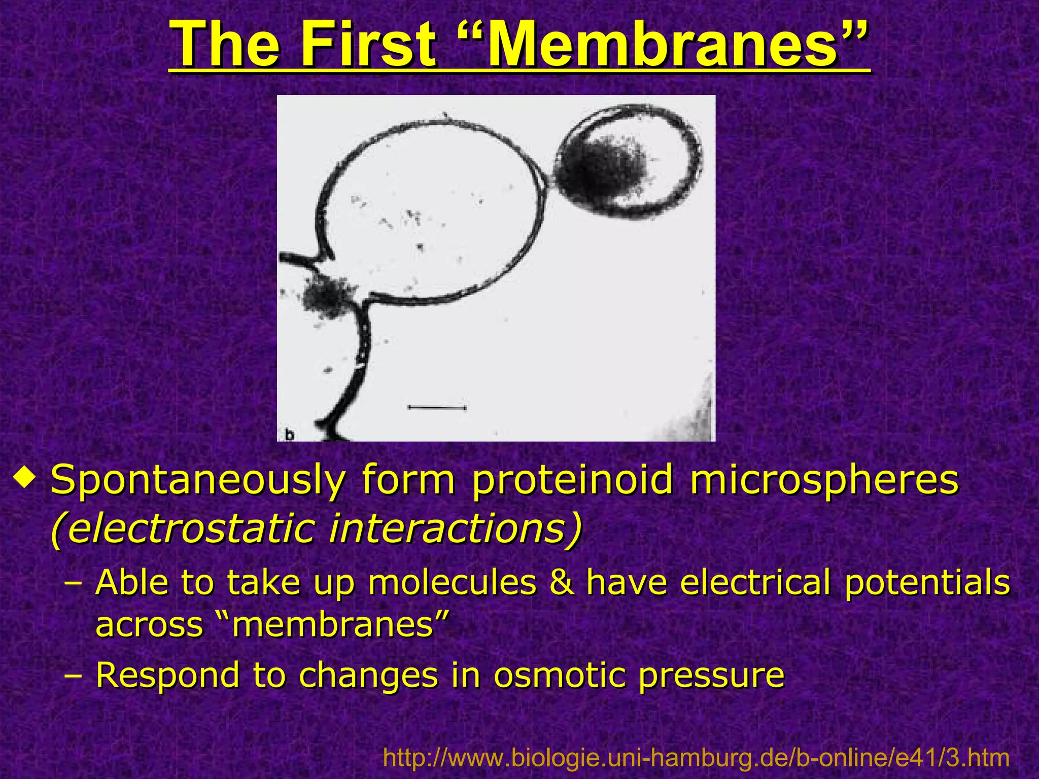Prebiotic Pyrite Chemistry Molecular Scaffold & Catalyst 1 21 | PPT