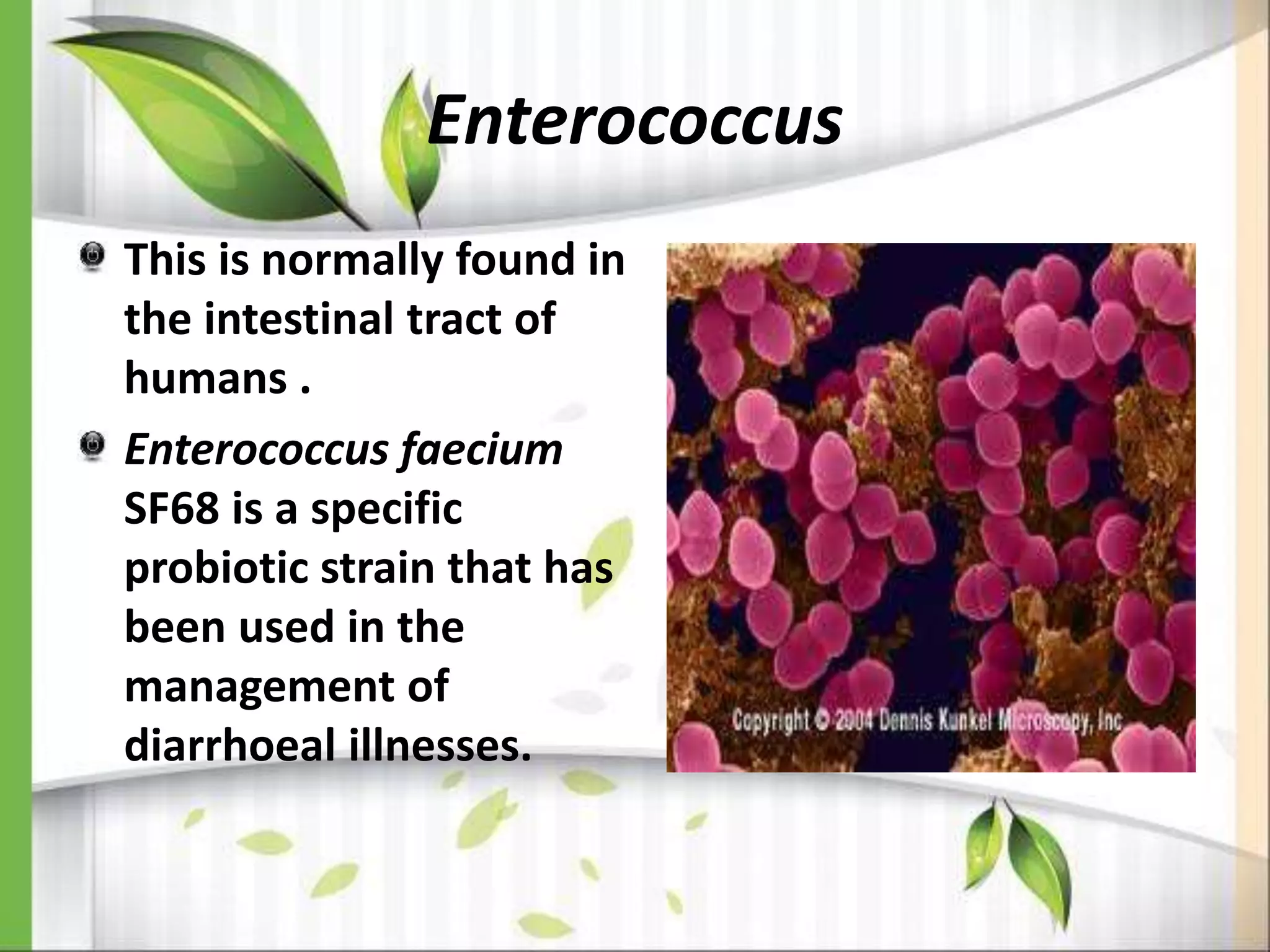 Prebiotic and probiotic. | PPTX