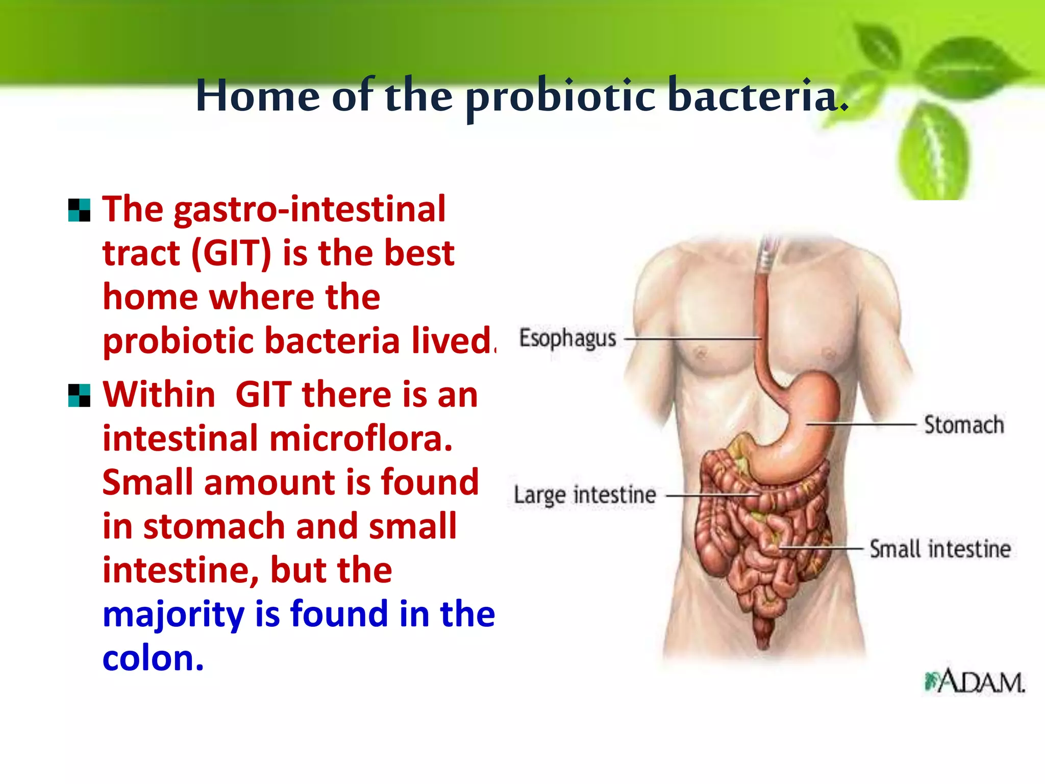 Prebiotic and probiotic. | PPTX