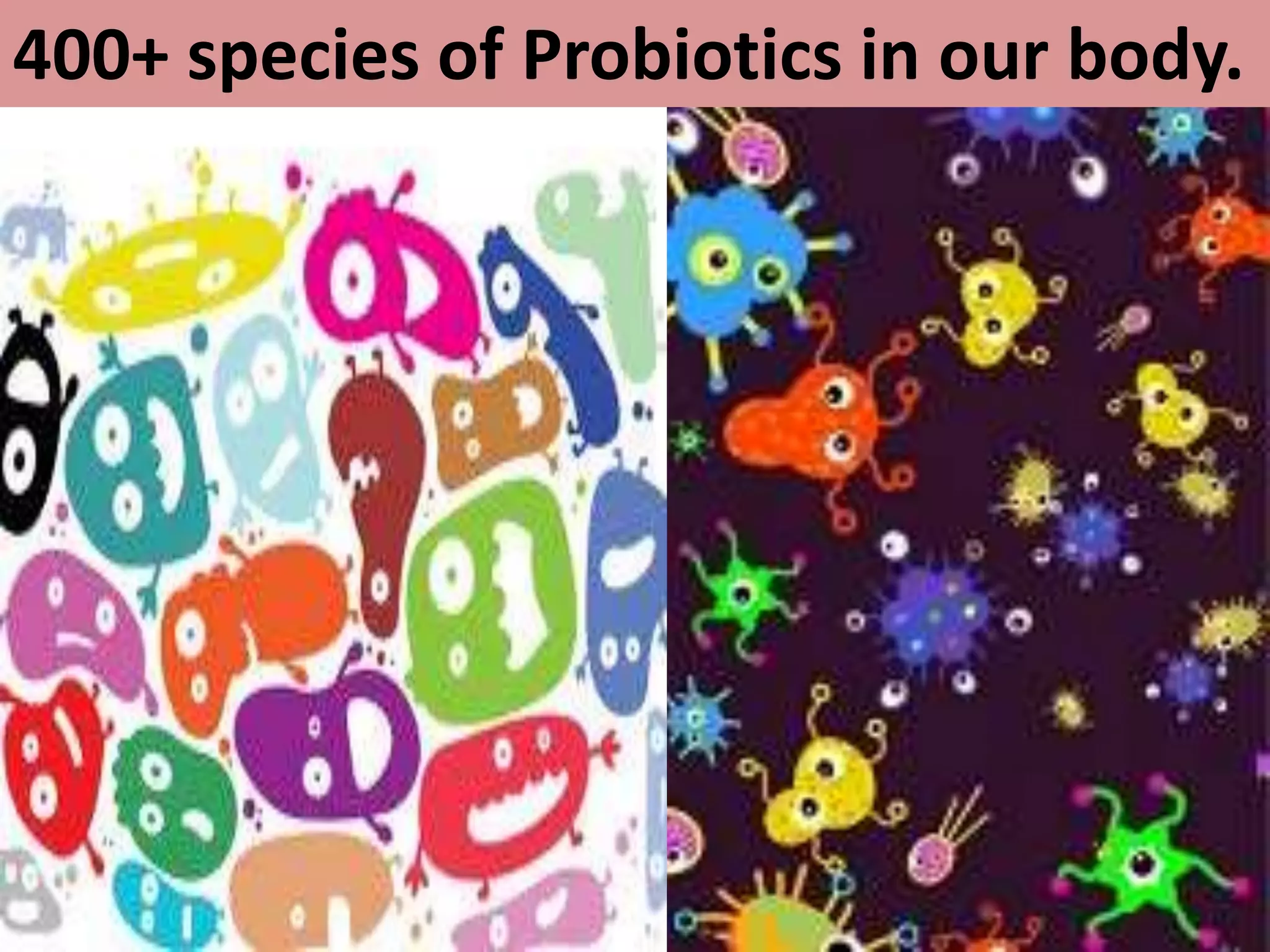 Prebiotic and probiotic. | PPTX