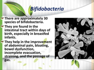 Prebiotic and probiotic. | PPTX