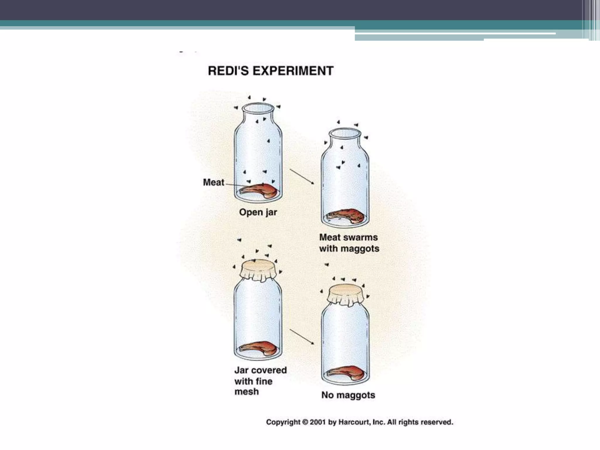 Prebiotic evolution | PPTX