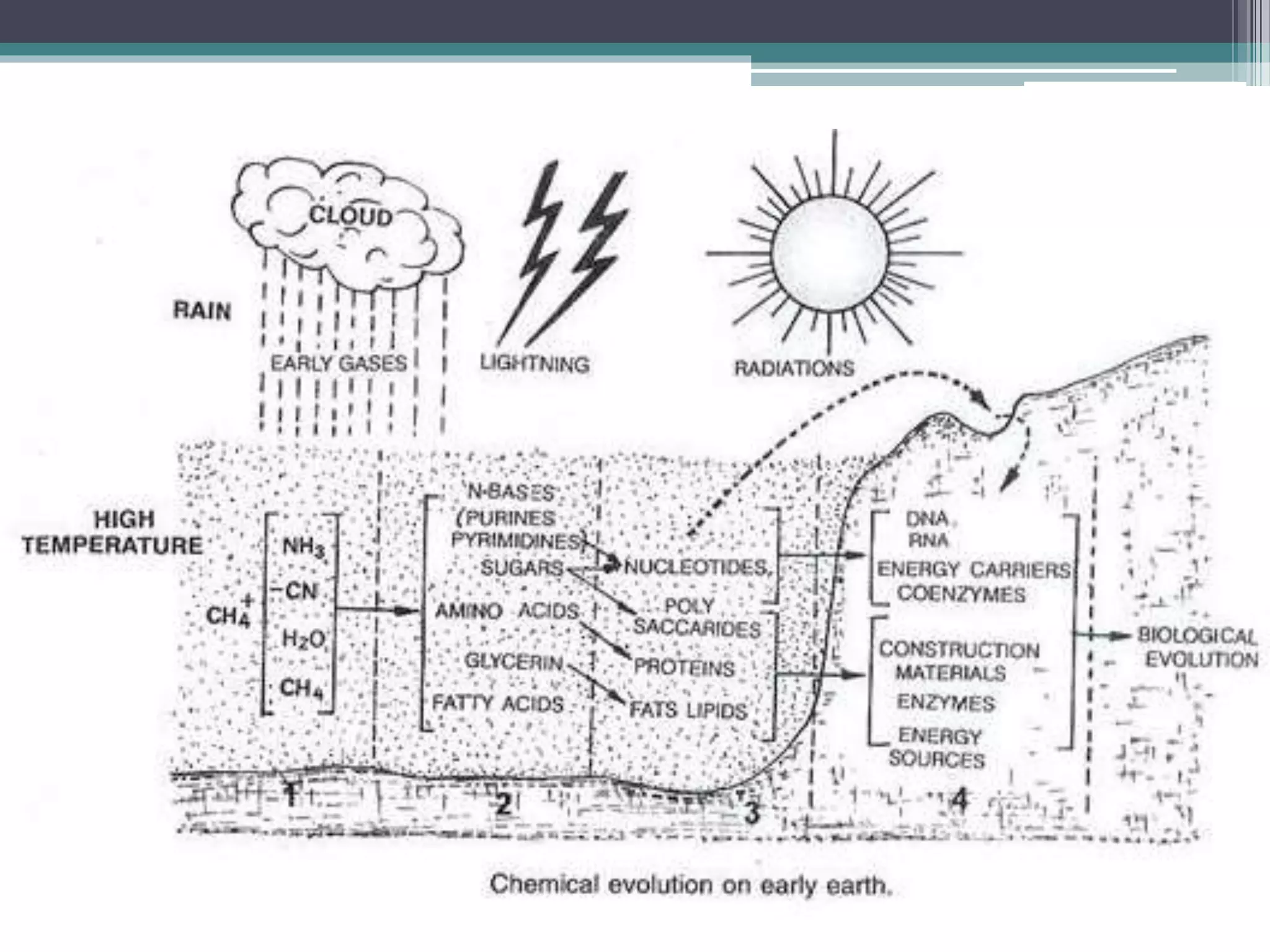 Prebiotic evolution | PPTX