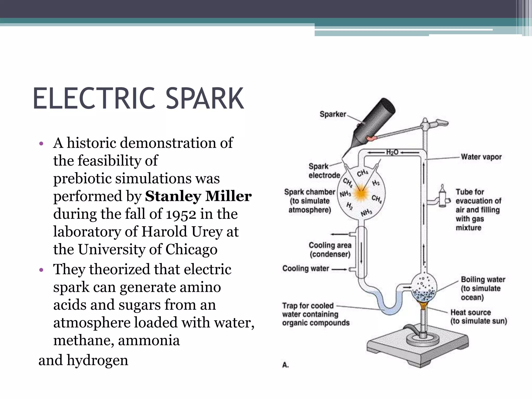 Prebiotic evolution | PPTX