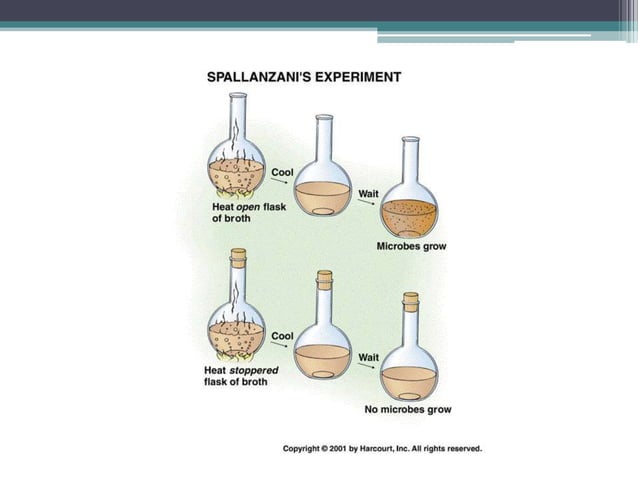 Prebiotic evolution | PPTX