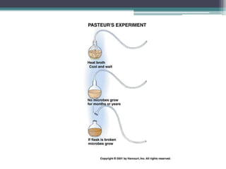 Prebiotic evolution | PPTX