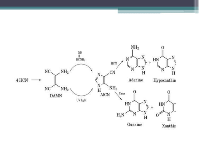 Prebiotic evolution | PPTX