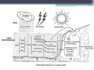 Prebiotic evolution | PPTX
