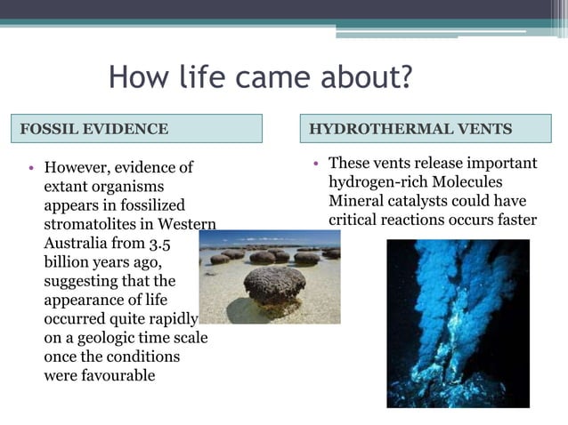 Prebiotic evolution | PPTX