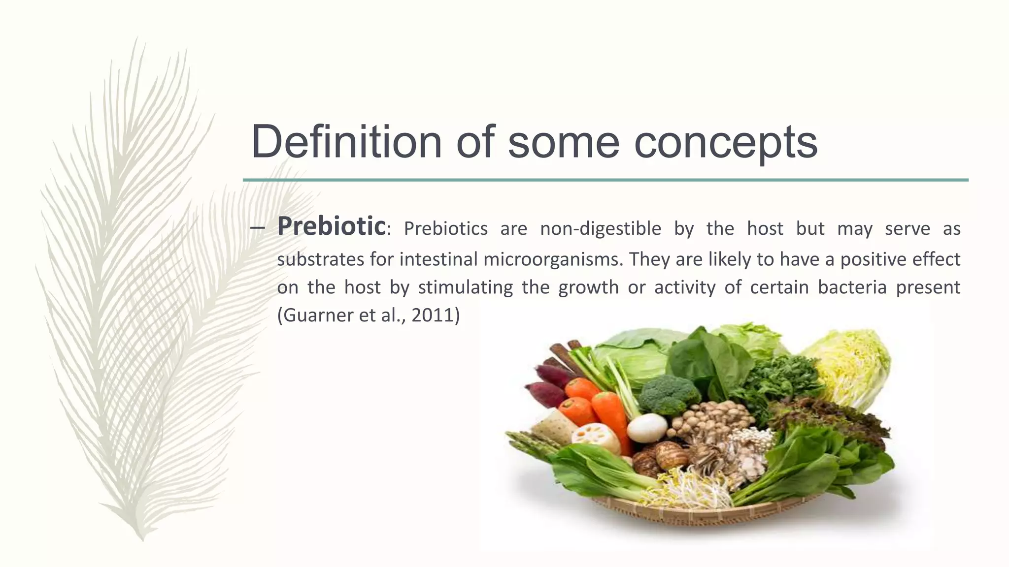 Prebiotics : Characteristics and usage in food industry | PPTX ...