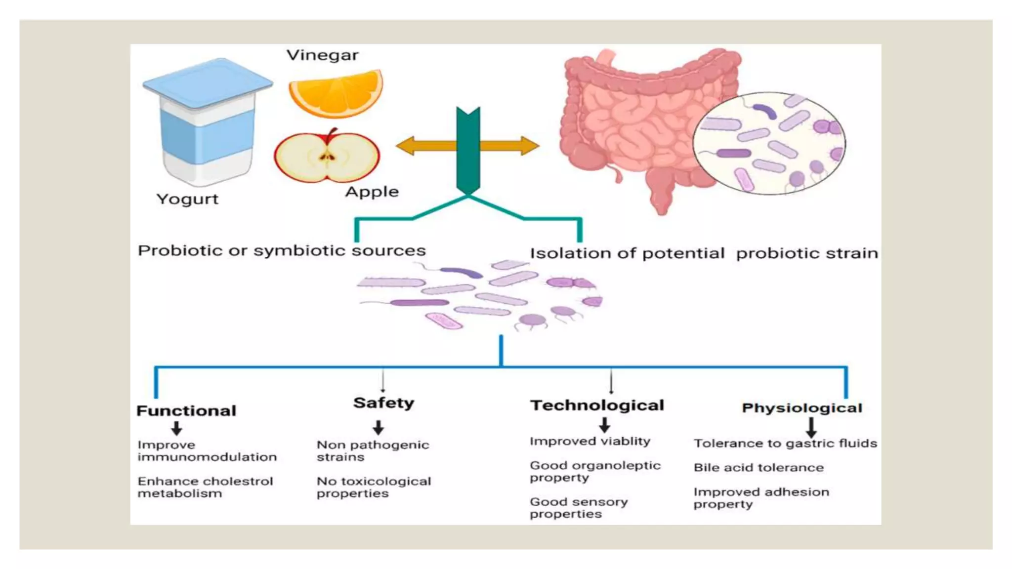Prebiotics and probiotics.pptx