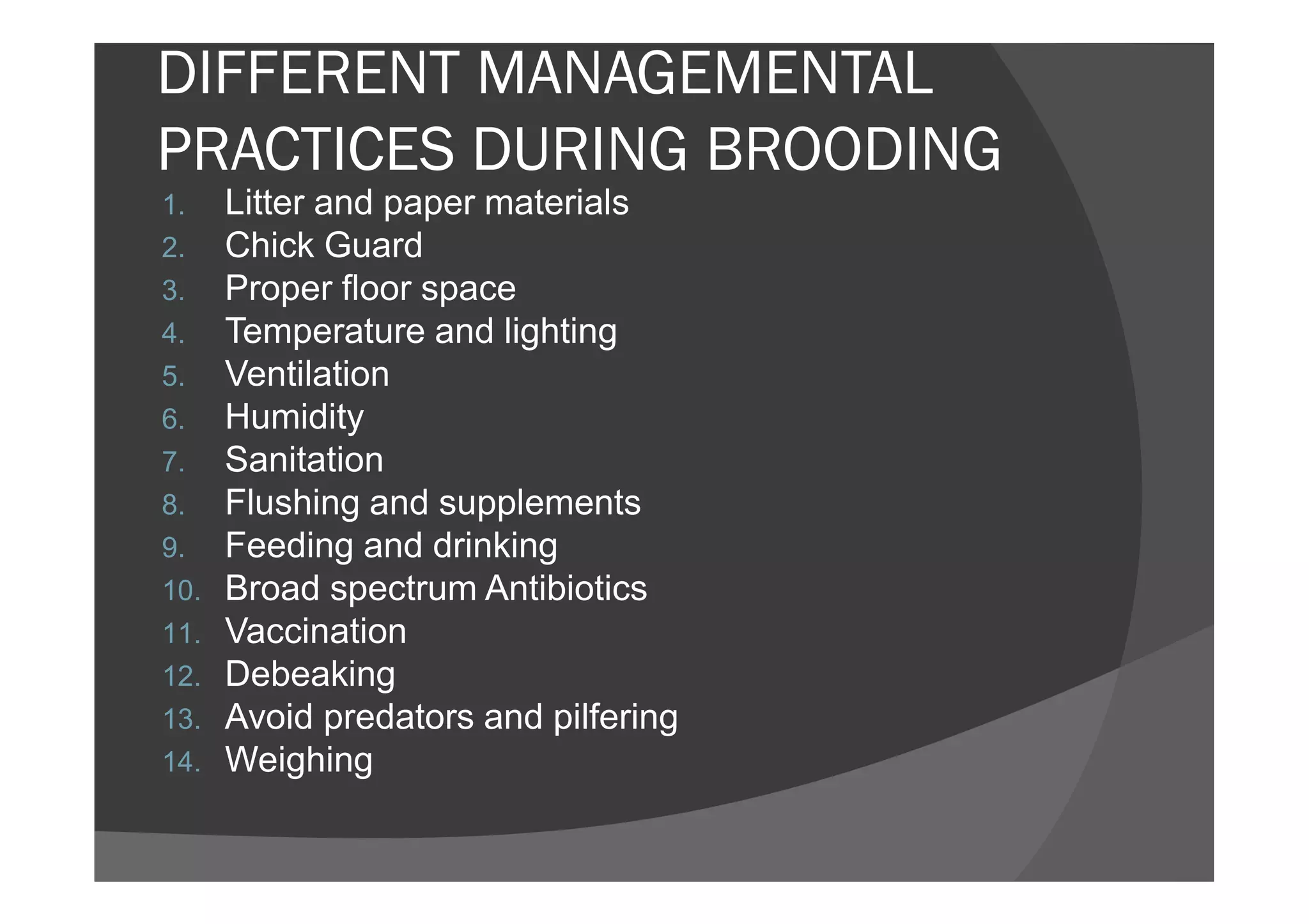 Pre –brooding, brooding and rearing management of chicks | PDF