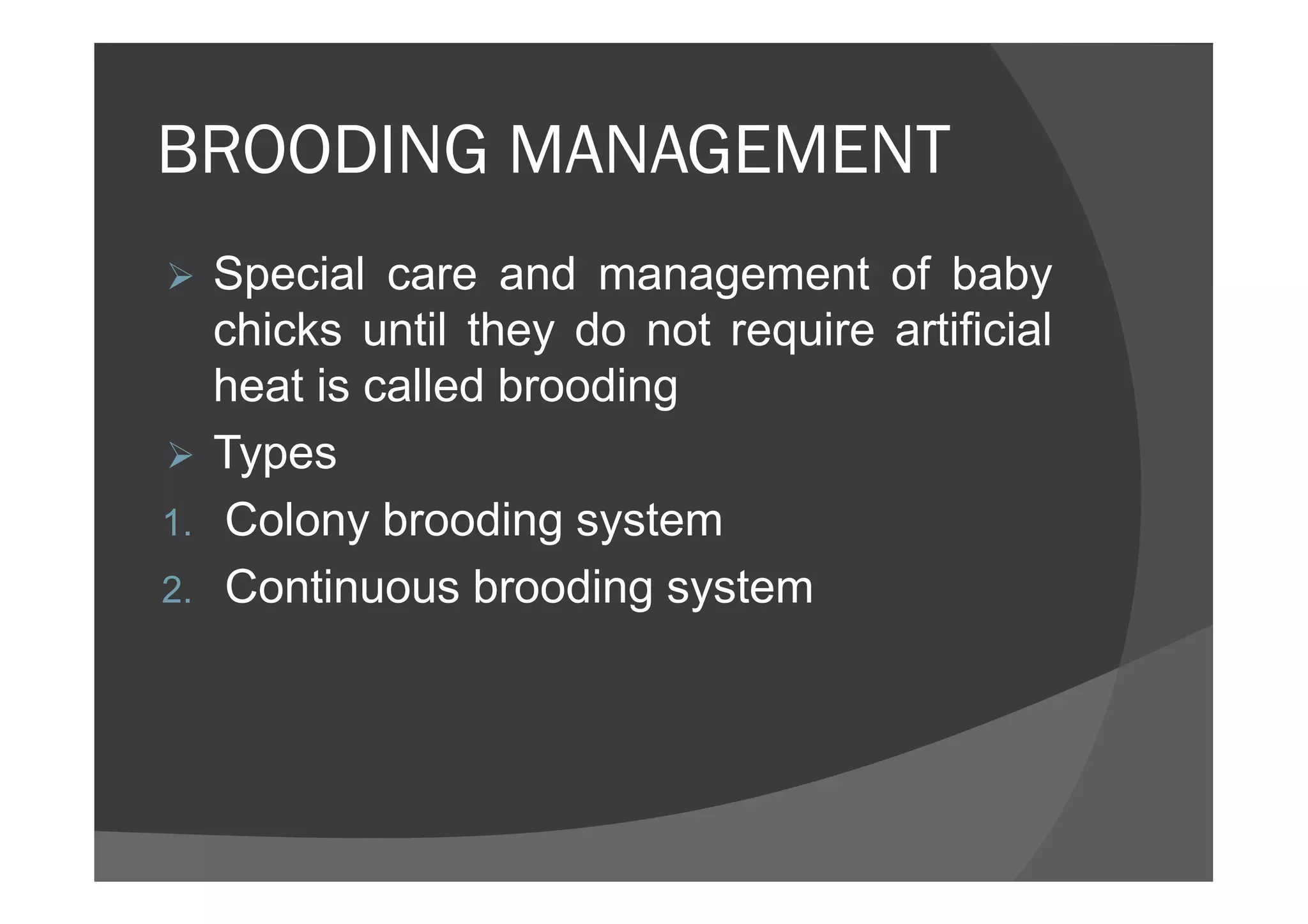 Pre –brooding, brooding and rearing management of chicks | PDF
