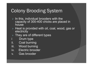 Pre –brooding, brooding and rearing management of chicks | PDF