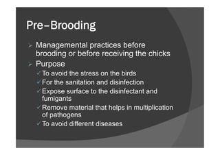 Pre –brooding, brooding and rearing management of chicks | PDF