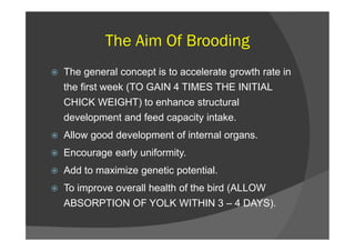 Pre –brooding, brooding and rearing management of chicks | PDF