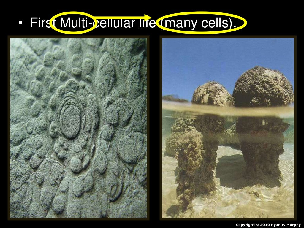 Precambrian Supereon, Earths Past, Geologic History Lesson PowerPoint