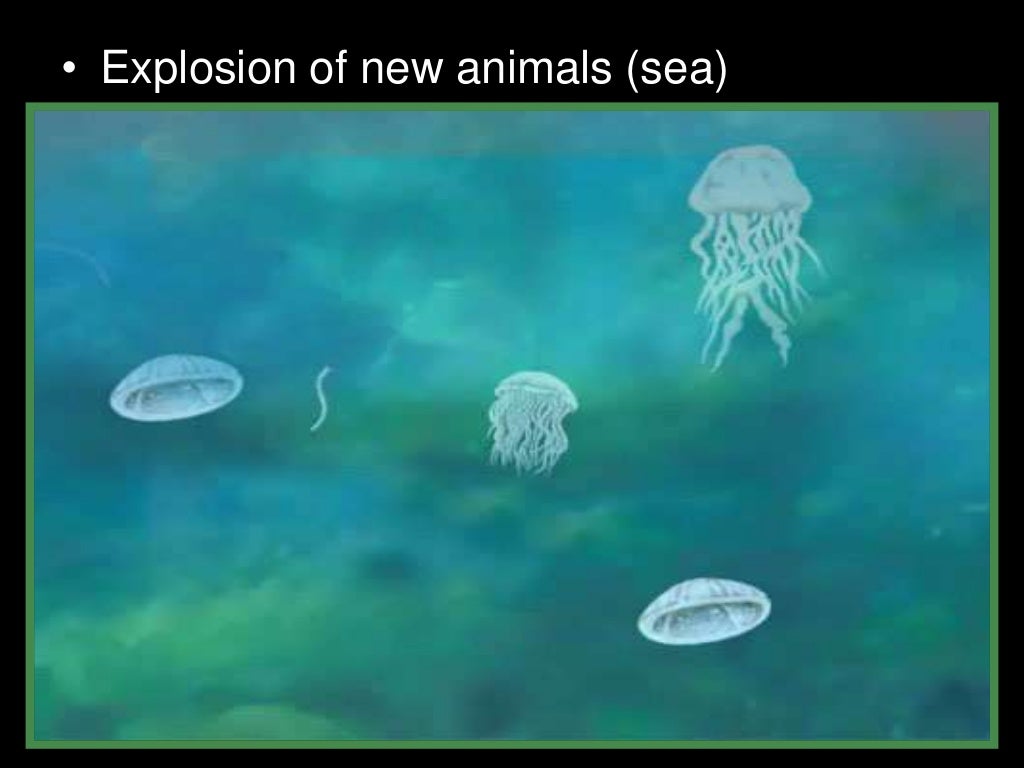 Precambrian Supereon, Earths Past, Geologic History Lesson PowerPoint