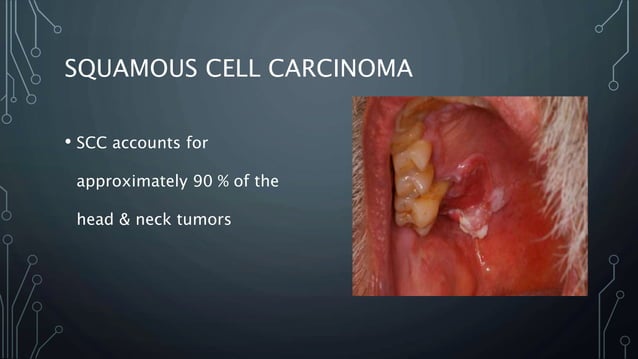 Precancerous lesions & conditions | PPTX | Dental Health | Diseases and ...
