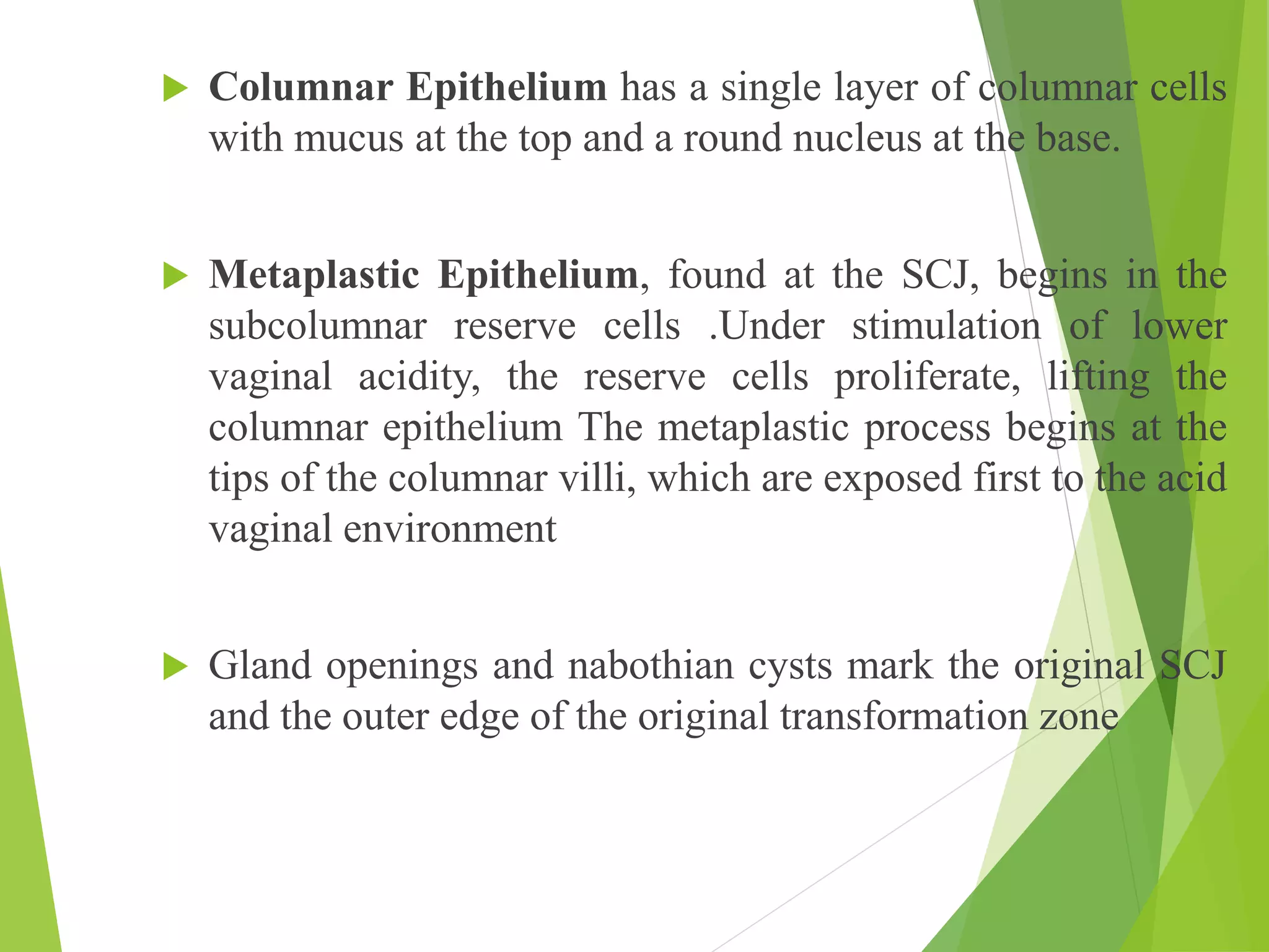 Pre cancerous lesions of cervix.pptx