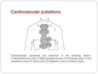 Precardial examination basics | PPTX