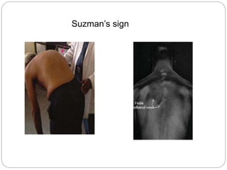 Precardial examination basics | PPTX
