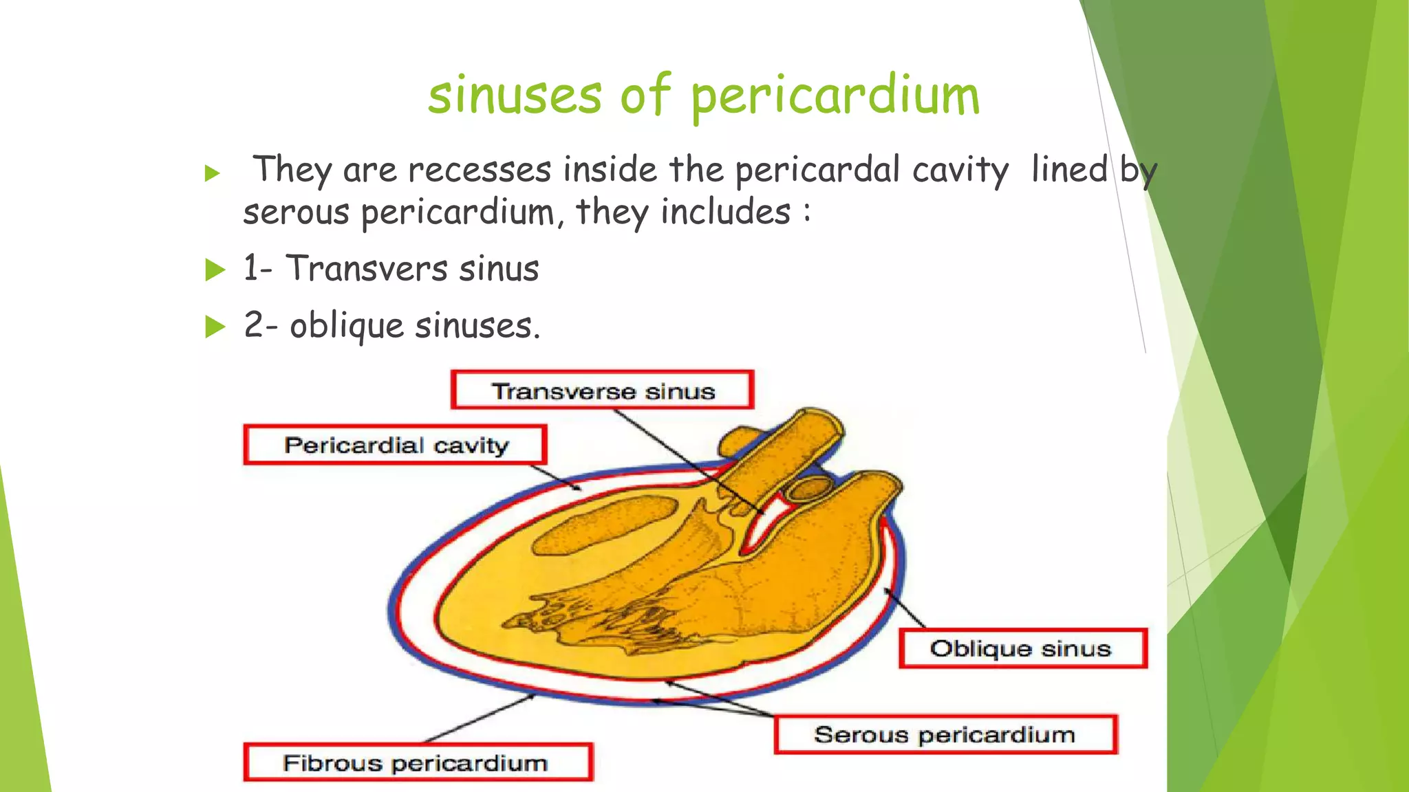 precardium.pptx