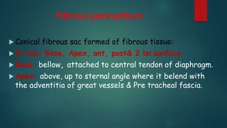 precardium.pptx