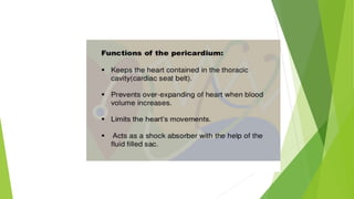 precardium.pptx