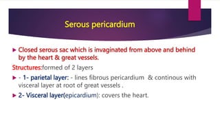 precardium.pptx