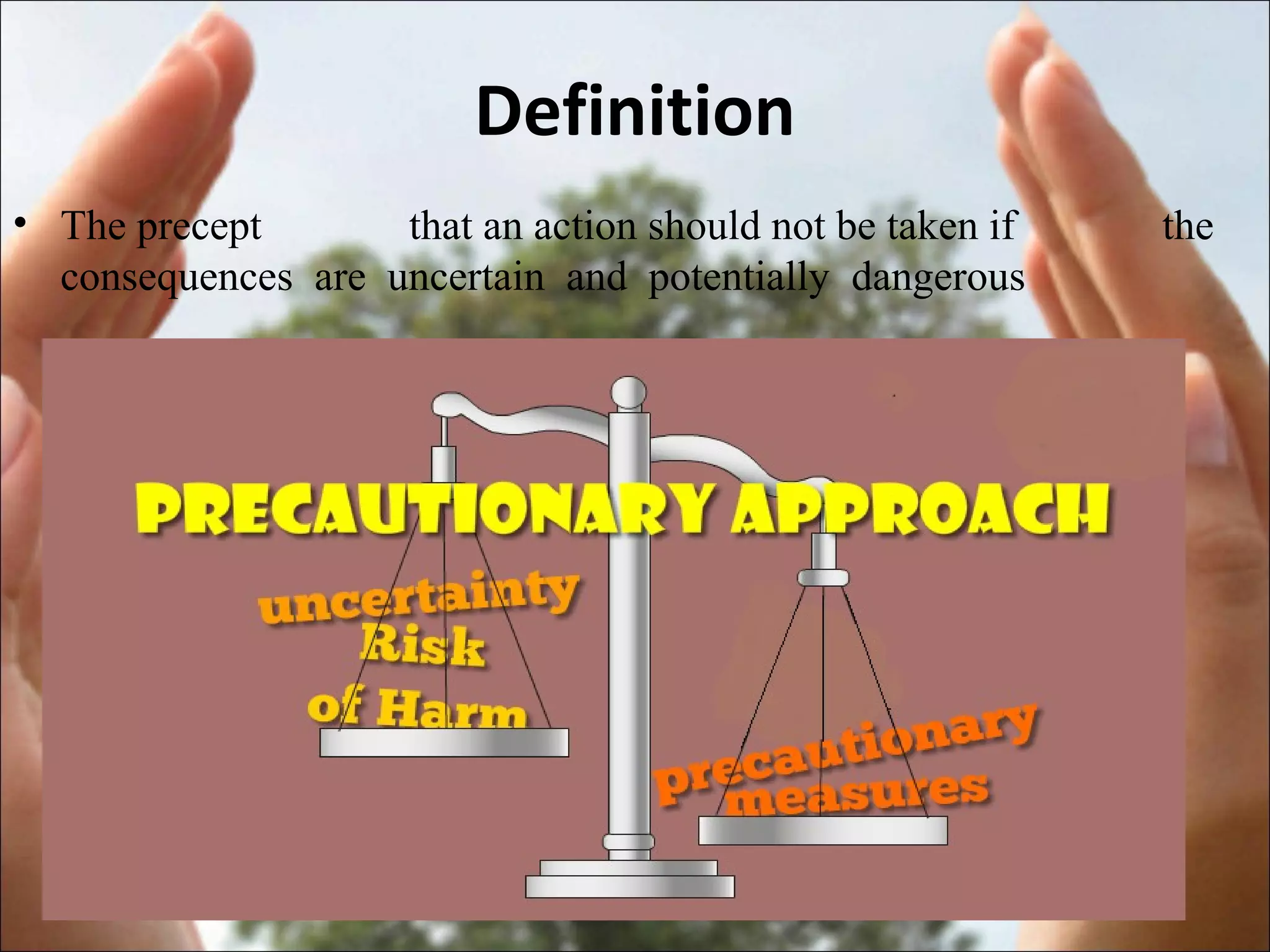 Precautionary principle | PPT