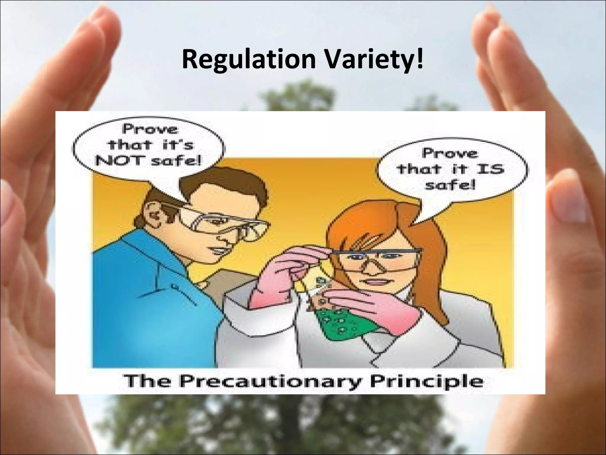 Precautionary principle | PPT