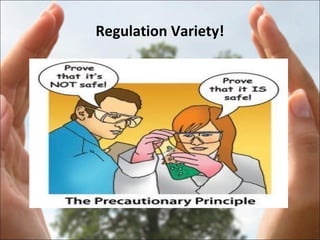 Precautionary Principle Cartoon