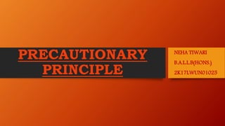 Precautionary principle / Precautionary principle in environmental law ...