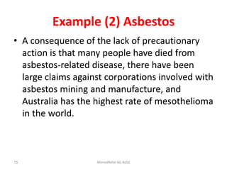Precautionary Principle Example