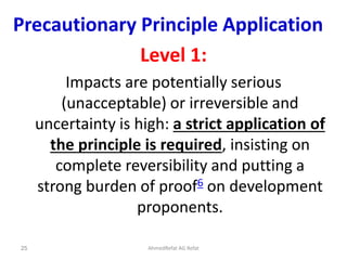 Precautionary Principle Example
