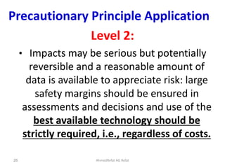 Precautionary Principle Example