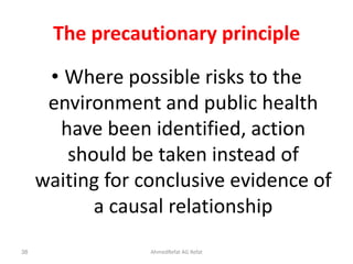 Precautionary Principle Example