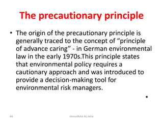 Precautionary Principle