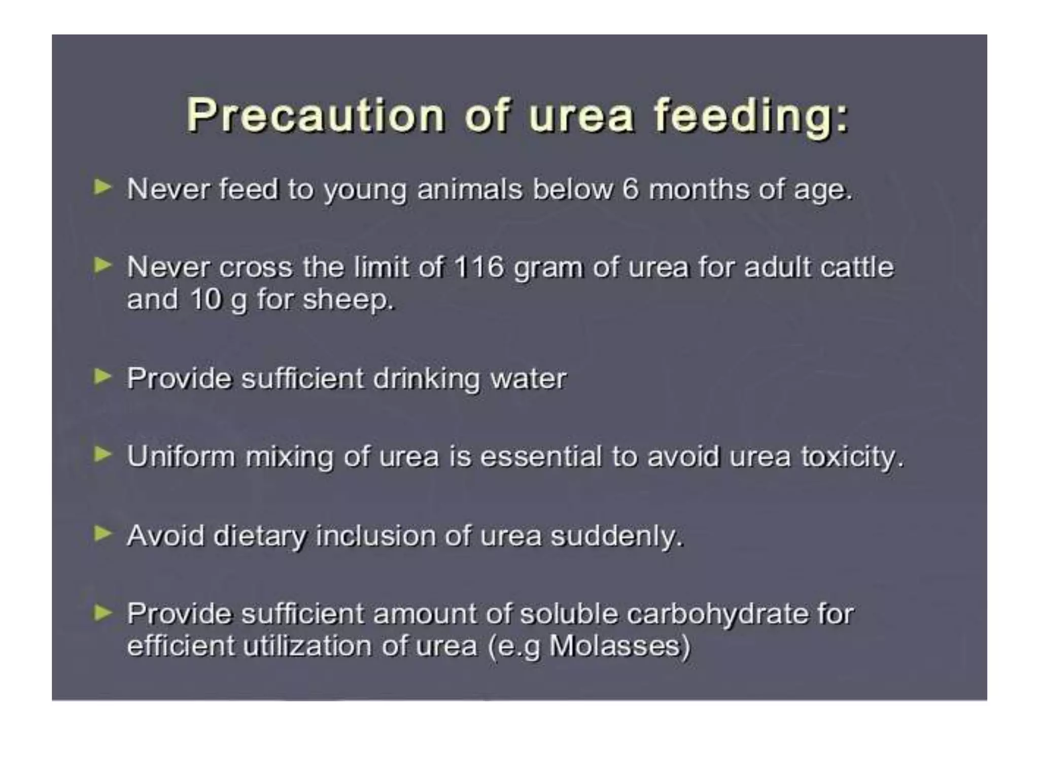 Precaution of urea feed By Mr Allah Dad Khan Visiting Professor The ...