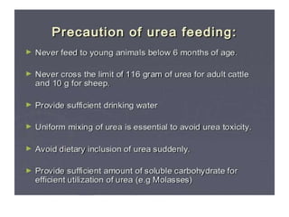 Precaution of urea feed By Mr Allah Dad Khan Visiting Professor The ...