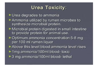 Precaution of urea feed By Mr Allah Dad Khan Visiting Professor The ...