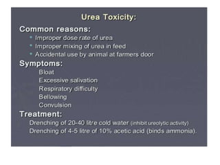 Precaution of urea feed By Mr Allah Dad Khan Visiting Professor The ...