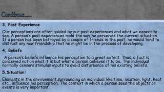 Perception - Individual Behavior (Organisation Behavior) | PPTX