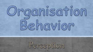Perception - Individual Behavior (Organisation Behavior) | PPTX
