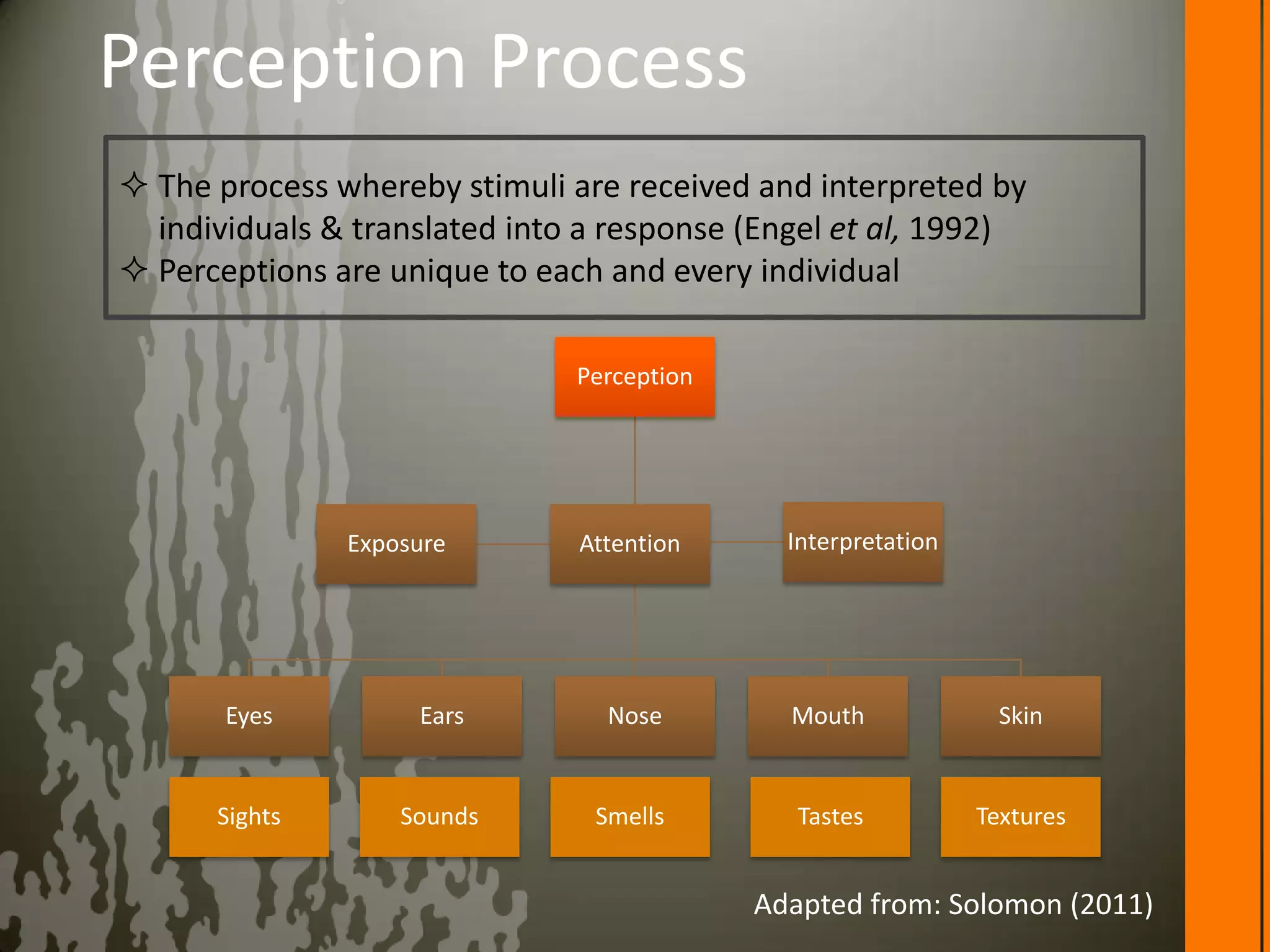 Preception presentation | PPTX