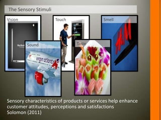 Preception presentation | PPTX