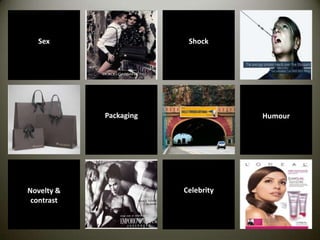 Preception presentation | PPTX