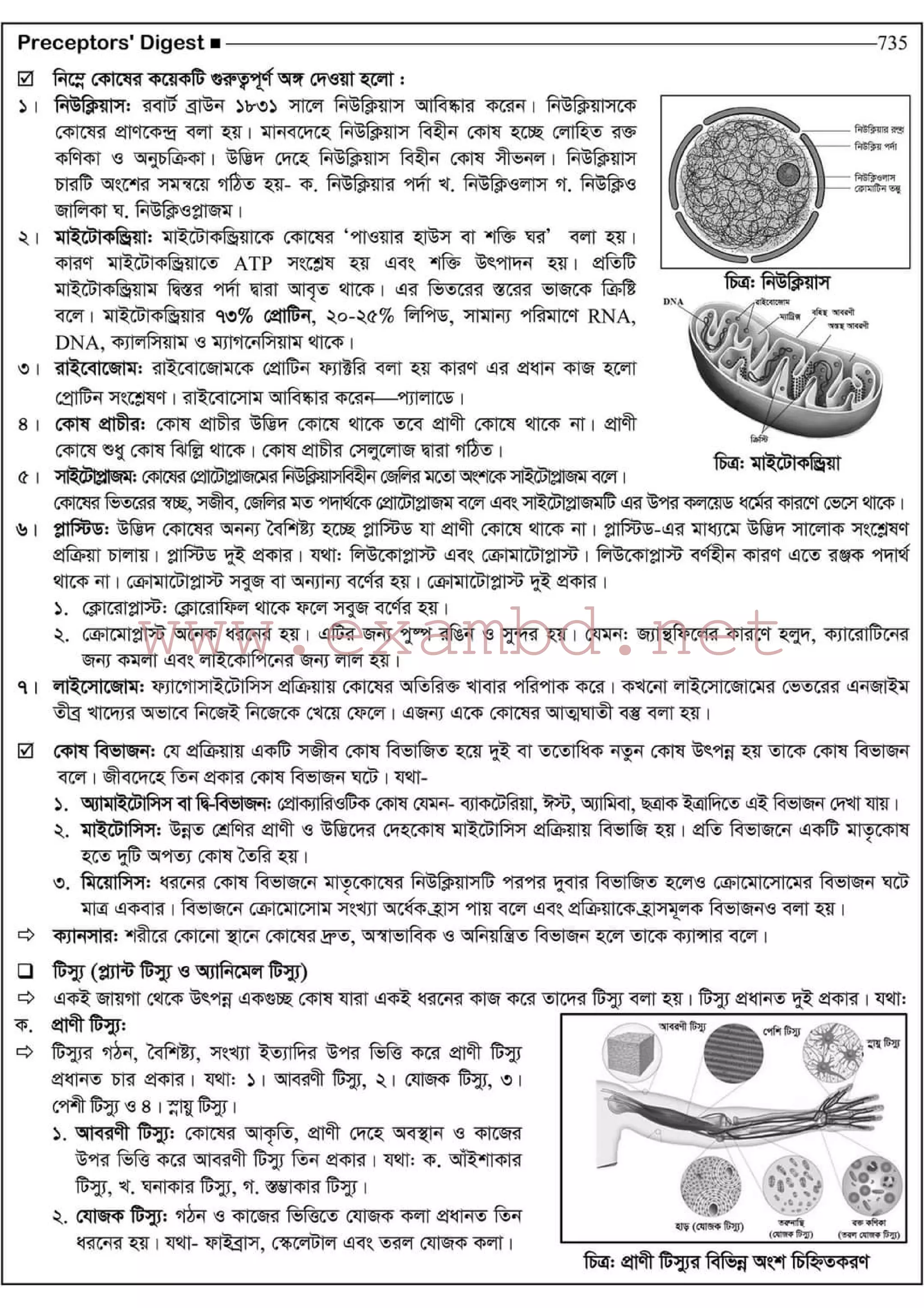 Preceptors bcs preliminary digest | PDF